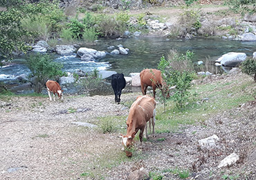 Terrenos Vilches Alto - Fundo El Morrillo - Inicio